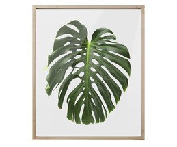 Quadro Folha Ací | Westwing